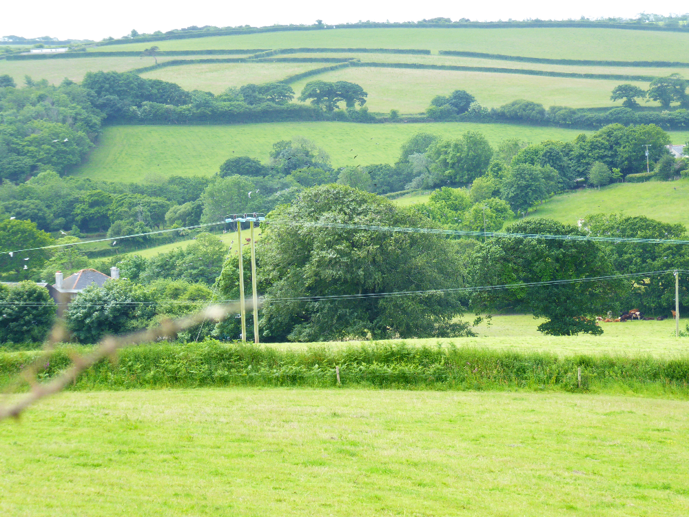 St Mewan's Holy Well still exists in a field | Celtic Glory