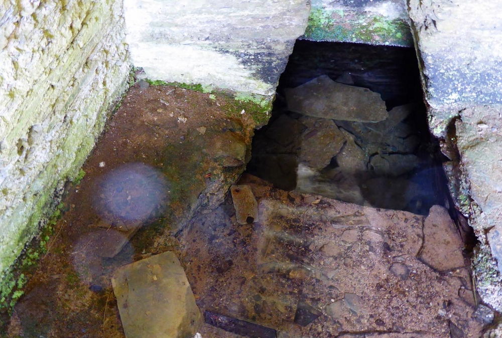 St Constantine’s holy well and chapel | Celtic Glory