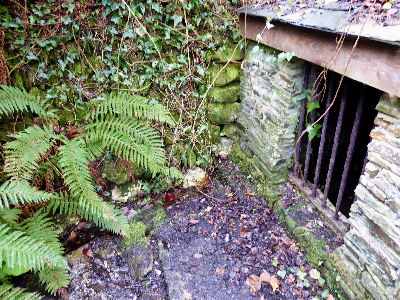 St Feock was a Celtic saint in south Cornwall | Celtic Glory