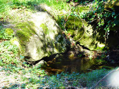 St Petroc a Celtic saint, founder of churches | Celtic Glory