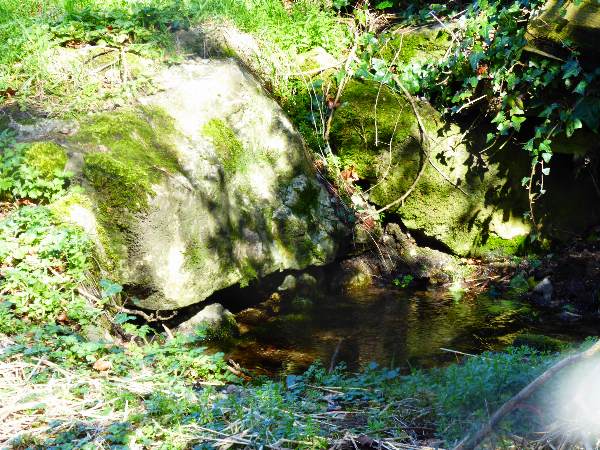 St Petroc a Celtic saint, founder of churches | Celtic Glory